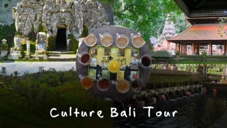 Ubud Area Tours | Experience Ubud and surrounds with true Balinese ...